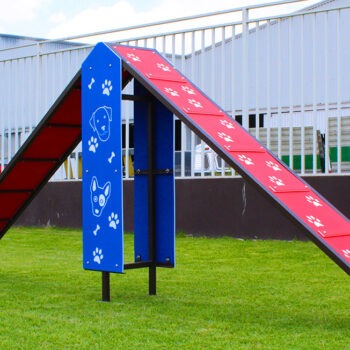 Rampa Canina (AEC-218 2.0) Canina - Productos Jumbo